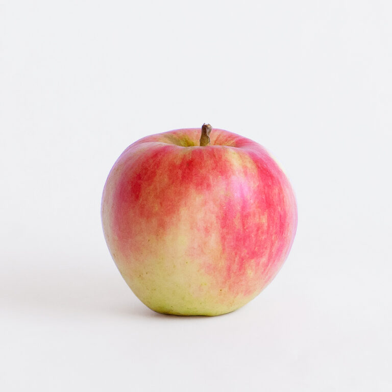 applelist_sansa | 山下フルーツ農園