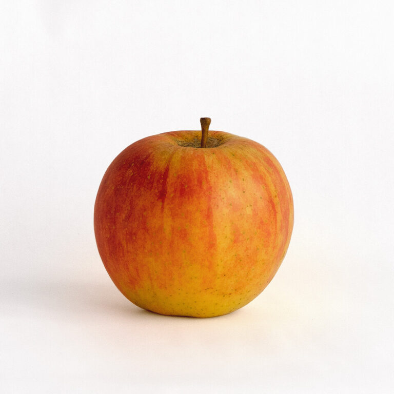 applelist_hokuto | 山下フルーツ農園